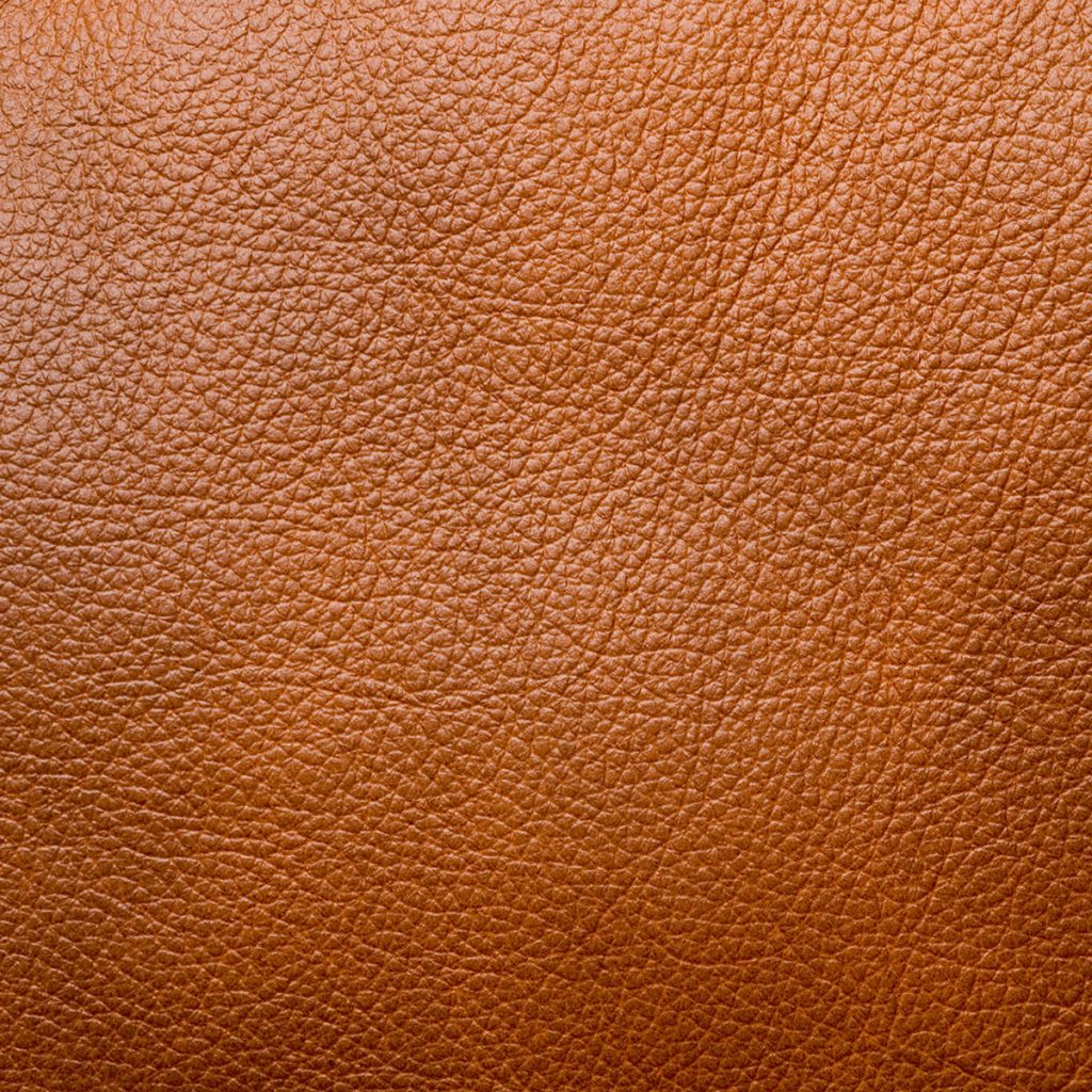 leather background | Pittella